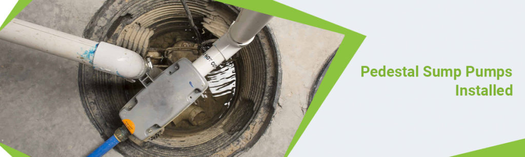 Pedestal Sump Pumps - Pioneer Sump Pump Geeks